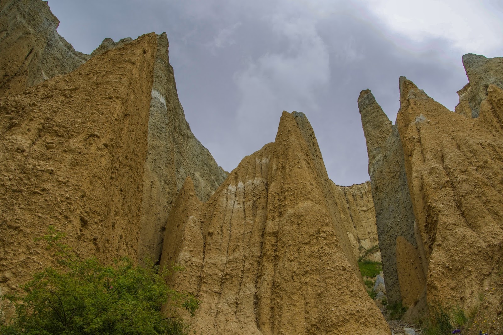 Paws Awhile: Omarama's Clay Cliffs