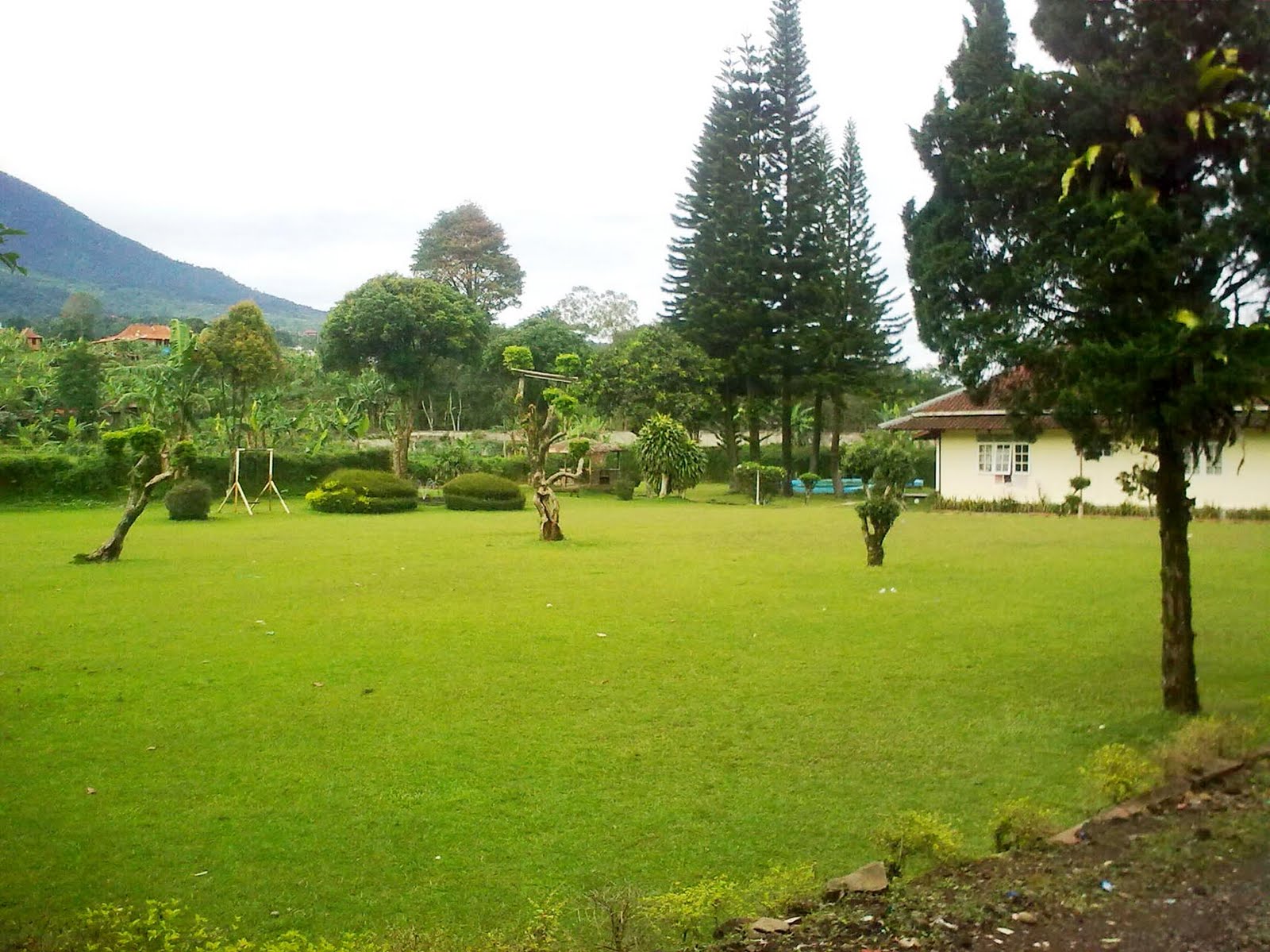 java tour: villa-villa Puncak Bogor