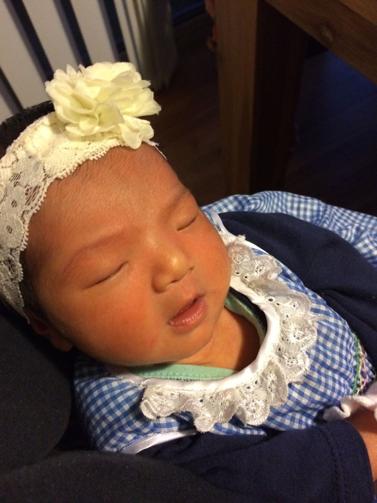 Tortilla Revit + ASX trading journal: 2016