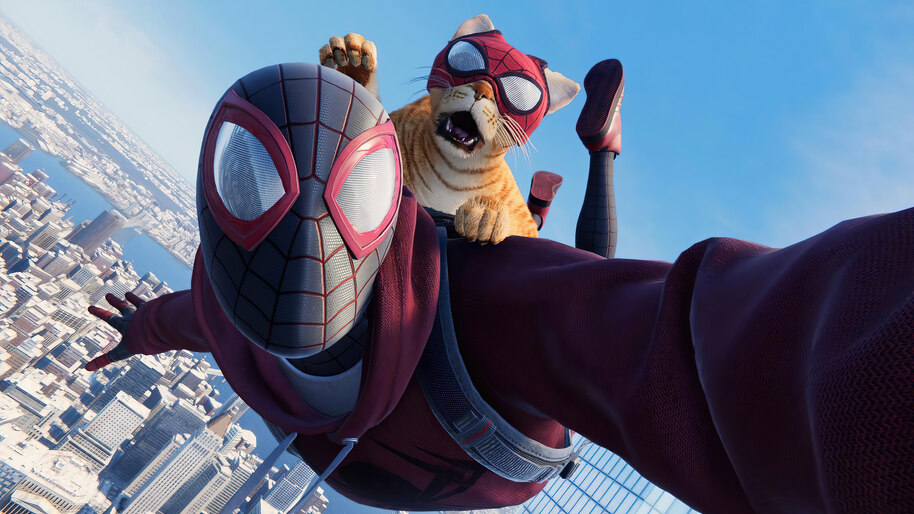 81834 Spider Man Miles Morales Bodega Cat Spider Cat 4k Wallpaper Pc Desktop