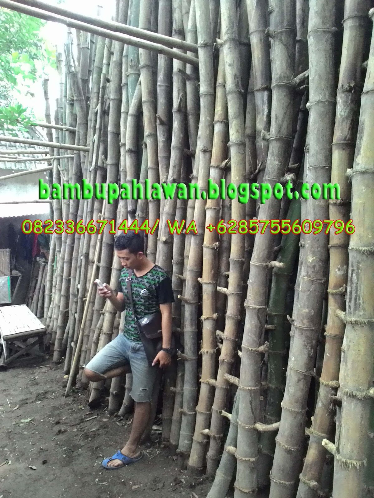 BAMBU PAHLAWAN: jual bambu banten jual sesek gedek banten Lebak ...