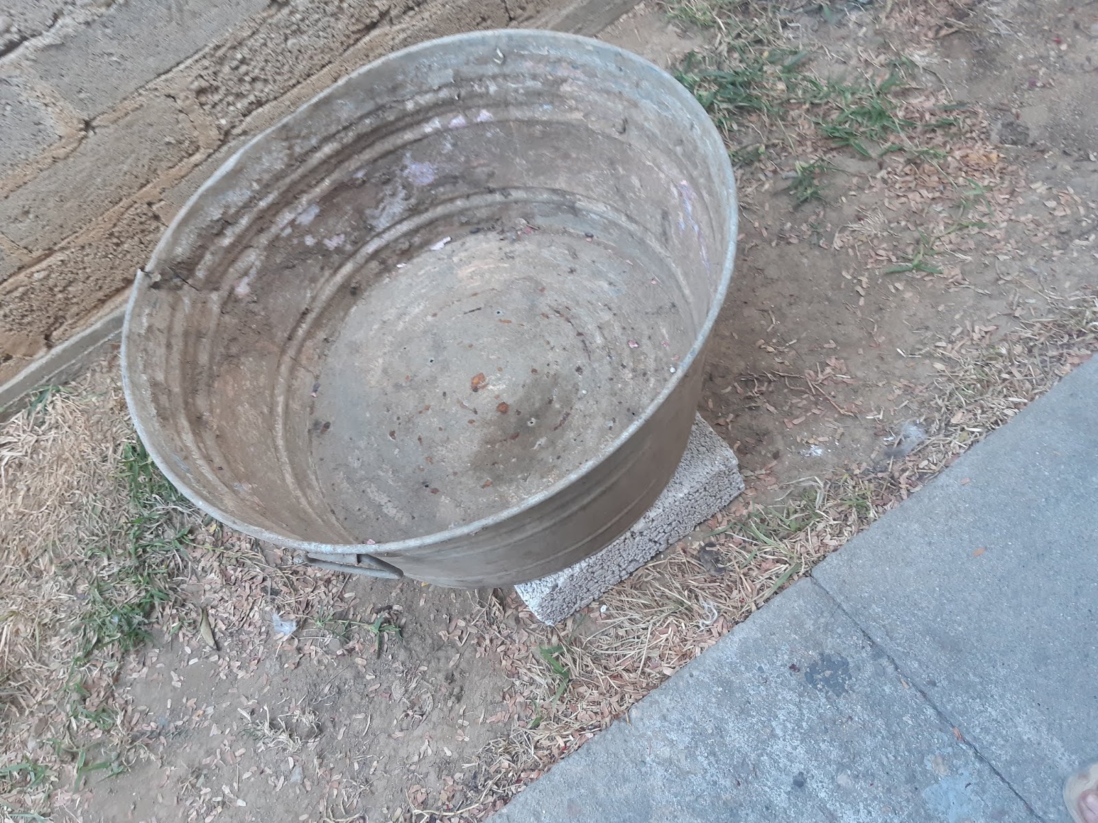 Huerto y su creación