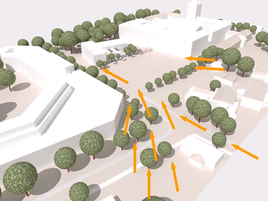 Alex Warren Architecture | Design Studio Work: Wind and Water Analysis