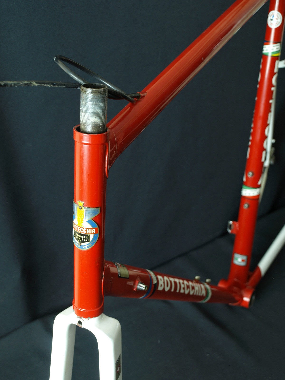 Columbus MAX Bikes: Bottecchia