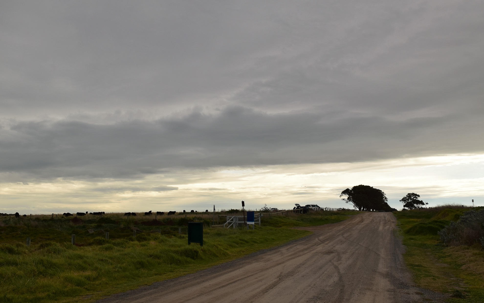 Goin' Feral One Day At A Time: Kirk Point Walk - July 2021