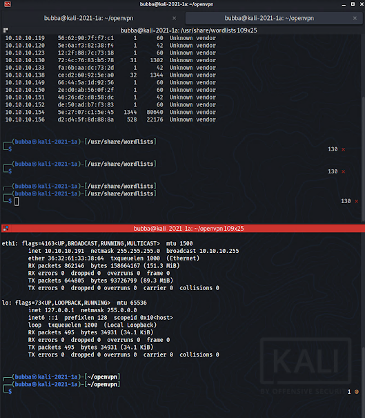 Security Paragon: Kali Linux - Post-Install Checklist