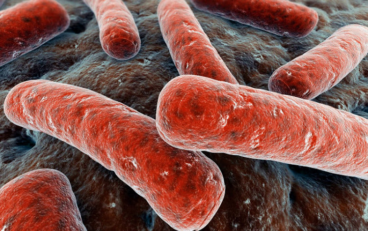 CIENCIAS DE LA SALUD : BACTERIOLOGÍA Y LABORATORIO CLÍNICO