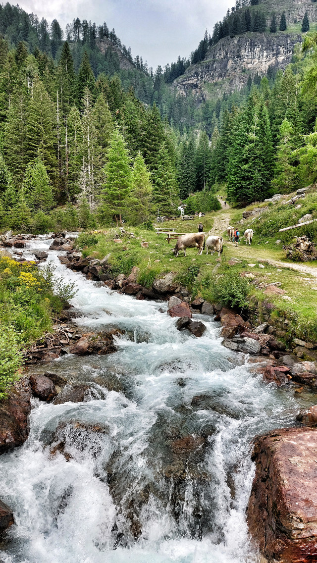 Val di Rabbi: 7 cose da vedere in estate - Montagna di Viaggi