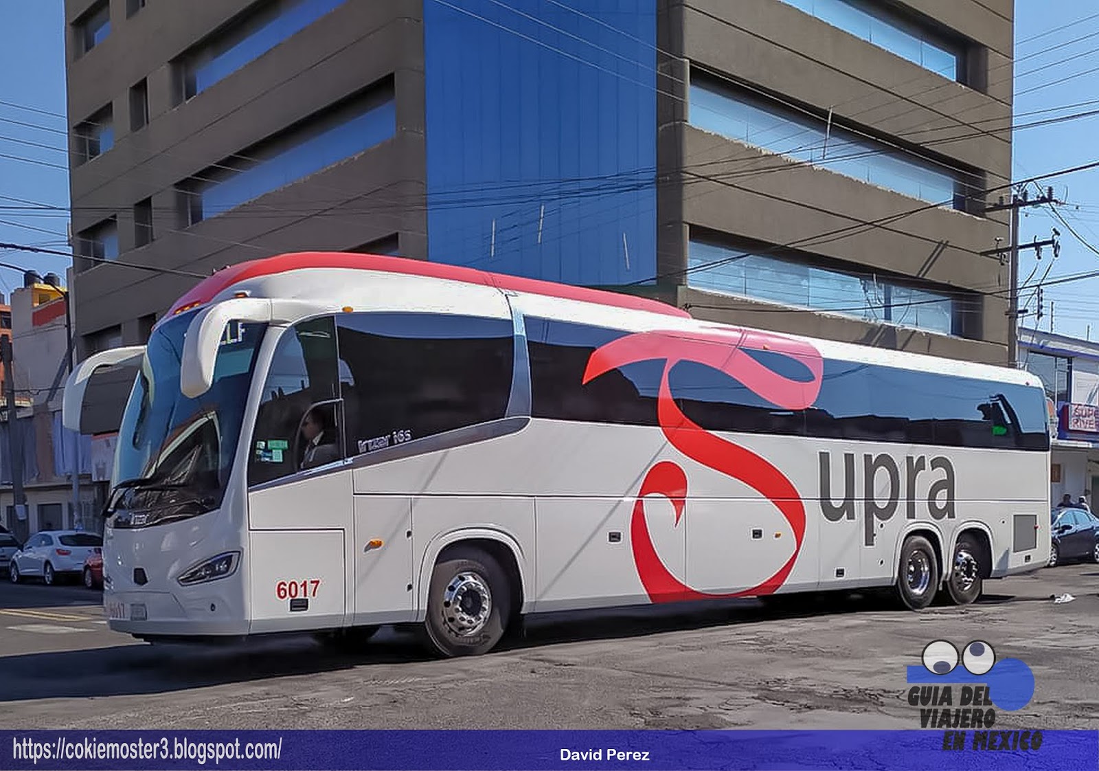 Supra, la línea con más variedad de unidades