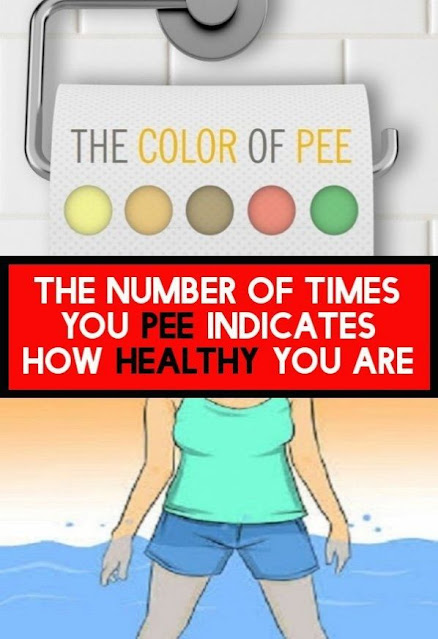 The Number Of Times You Pee Indicates How Healthy You Are - HealthMgz ...