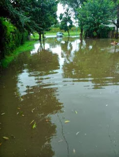 LA GENERACIÓN SIGUIENTE: [FOTOS] El Tigre de Sergio Massa, todo ...