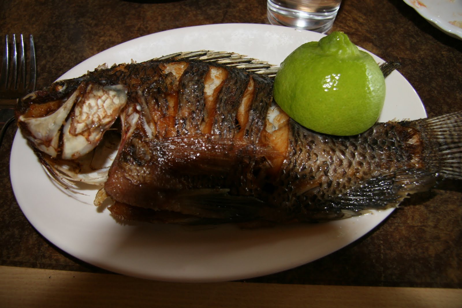 The Drift Record : Bad Signs and Omens