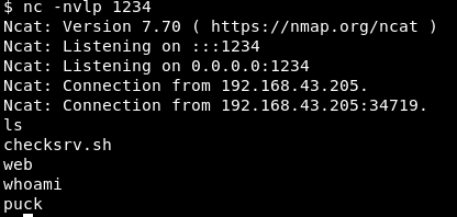 JagSkap: BRAINPAN - Buffer Overflow