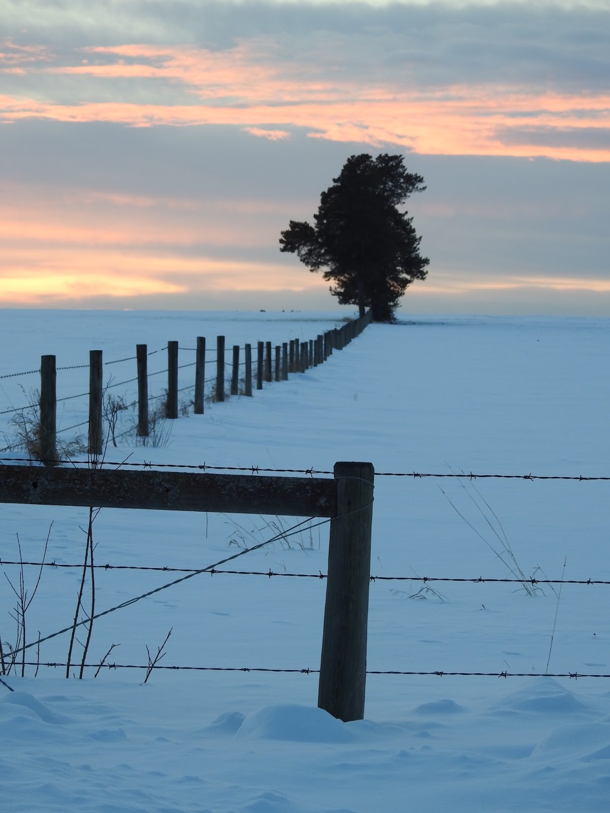 The view from here: The sunset years