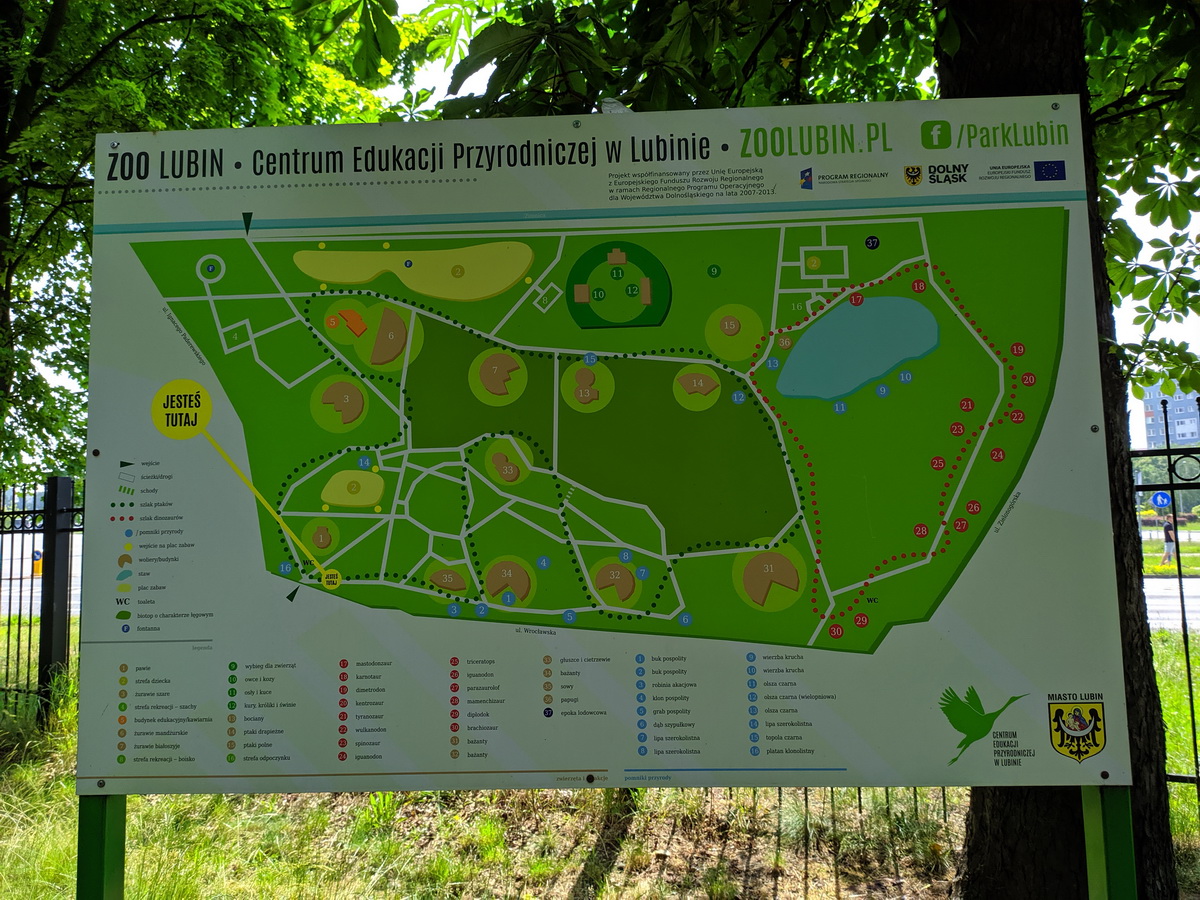 Park Dinozaurow Lubin Zoo Park Wroclawski