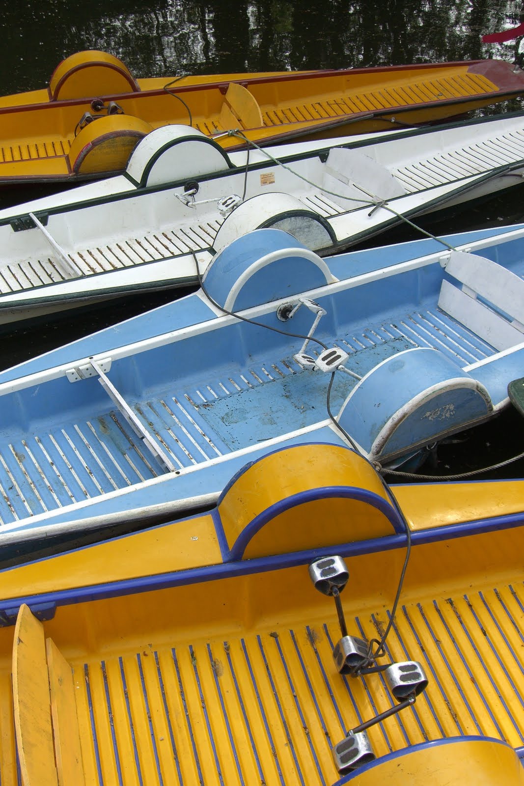 Picture of the Week: Paddle Punts