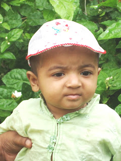 Safeer Hussain Mehdi: Safeer Hussain Mehdi