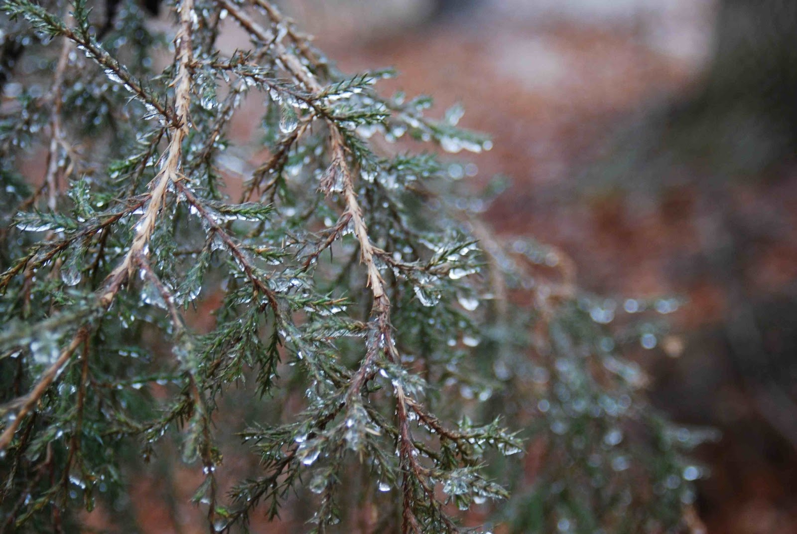 BaitRageous: January 2013