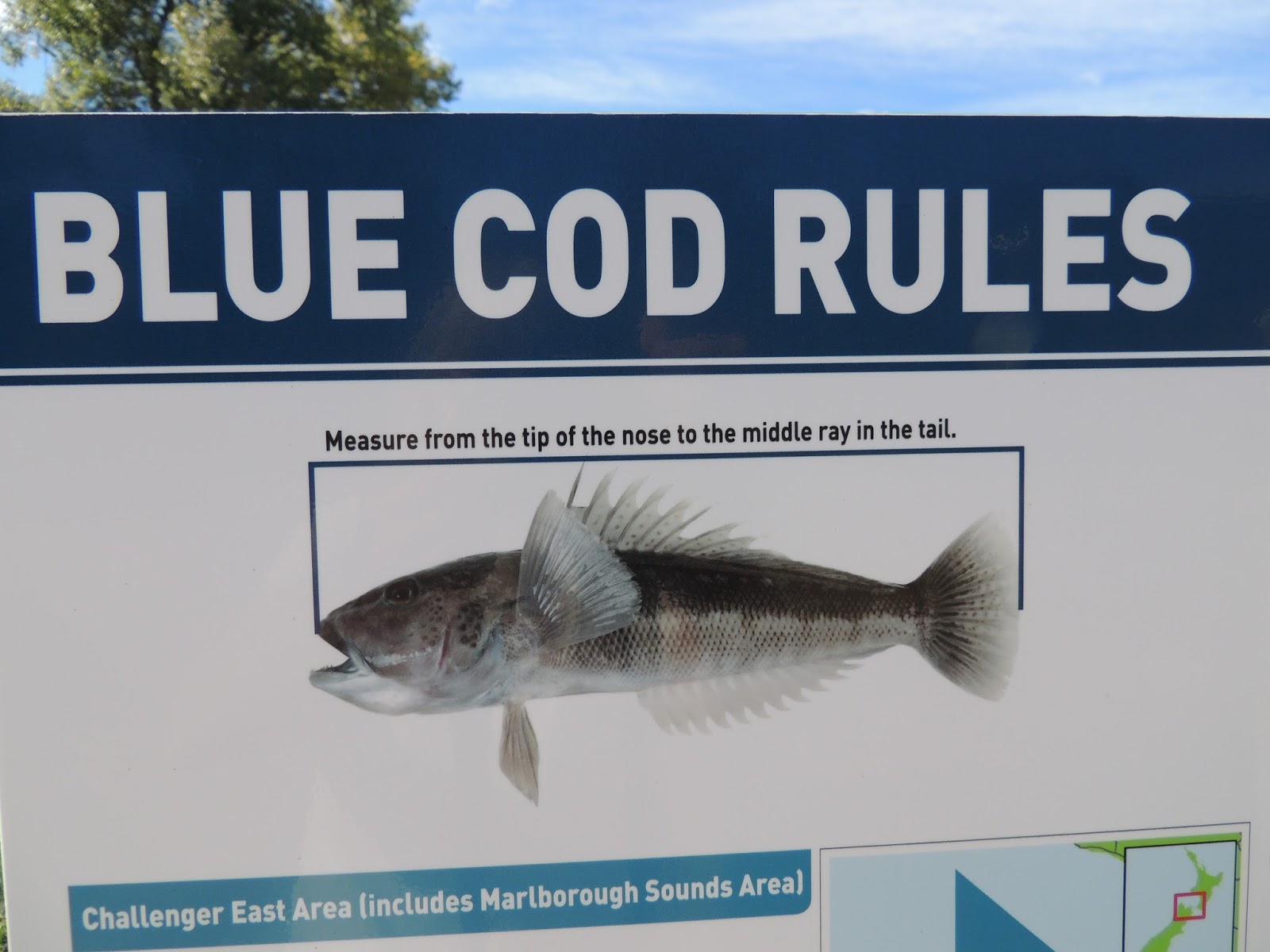 THE ROAD TAKEN : In The Moment: Walking A Piece of the Queen Charlotte ...