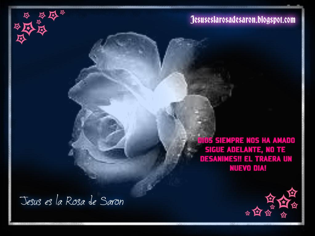 La Rosa de Saron : Imágenes #1