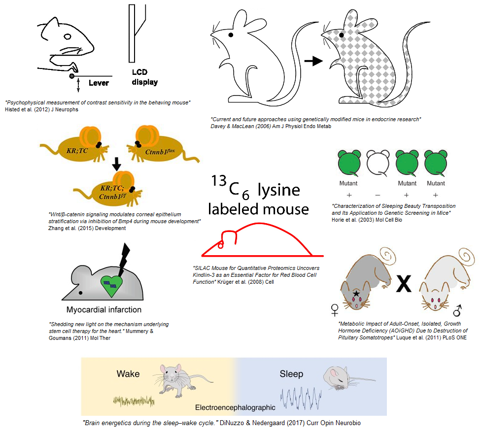 Better Posters: 2017