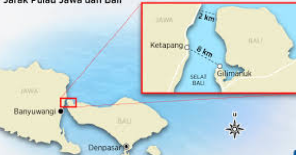 SELAT BALI - IKAN DAN LAUT