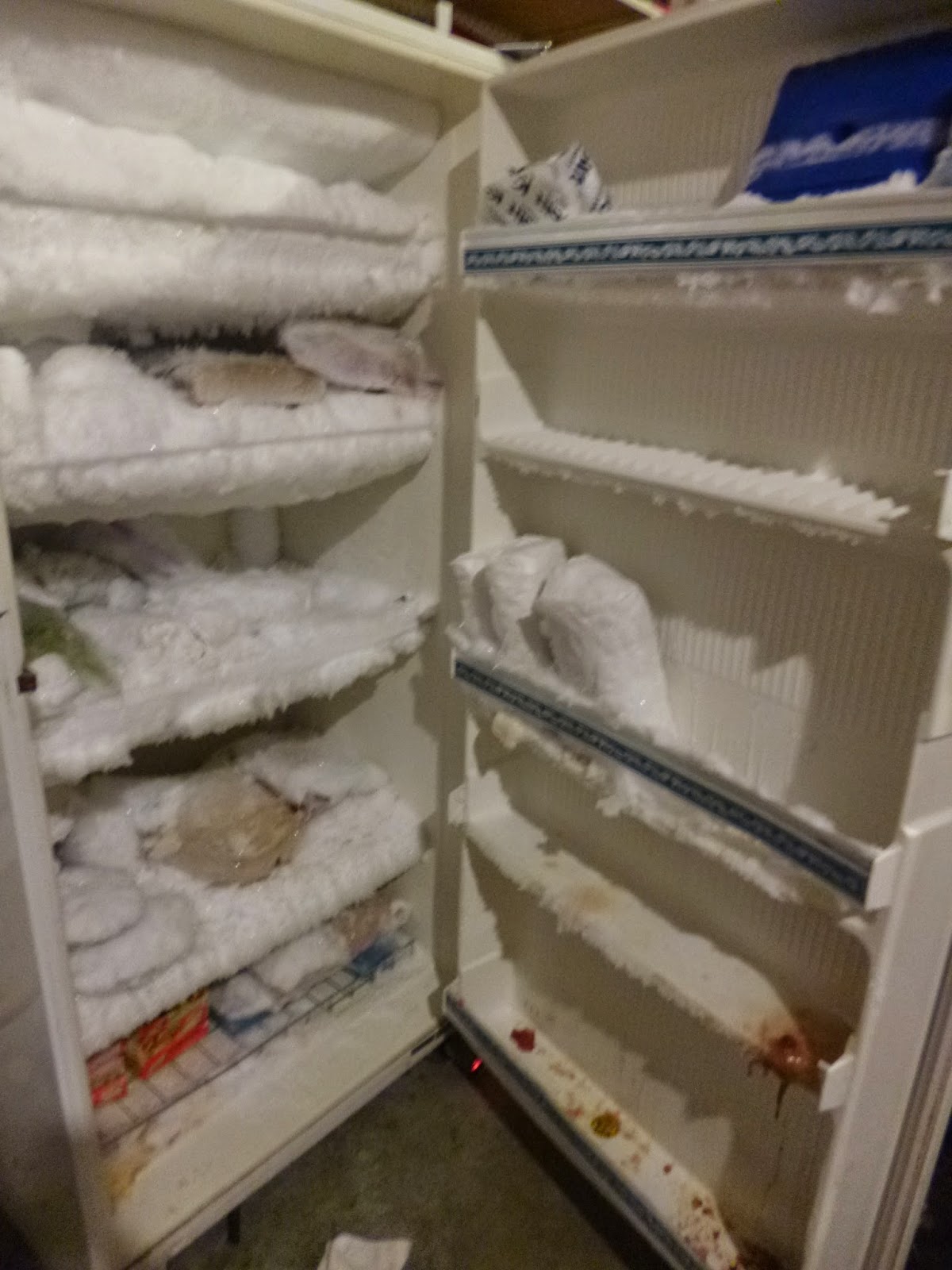 A Resourceful Home .com: Freezer Defrosted! - 2 Days Ahead of Schedule