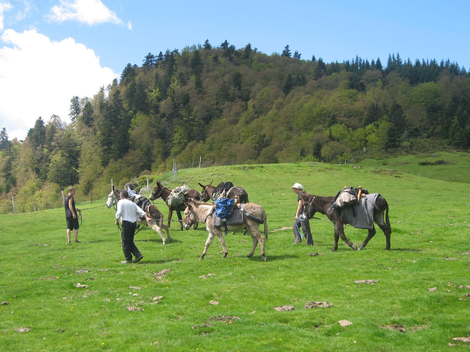 Viajar...viajar! Ir....e voltar!: A beleza dos Pirinéus