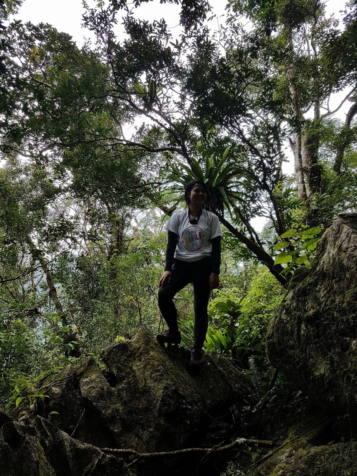 An Unforgettable Day Hike: Mt Irid, Rizal's Highest Mountain - From The ...