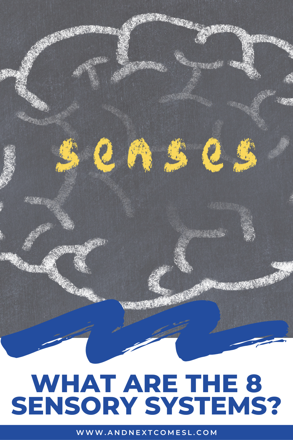 What are the 8 Sensory Systems? Your 8 Senses Explained | And Next ...