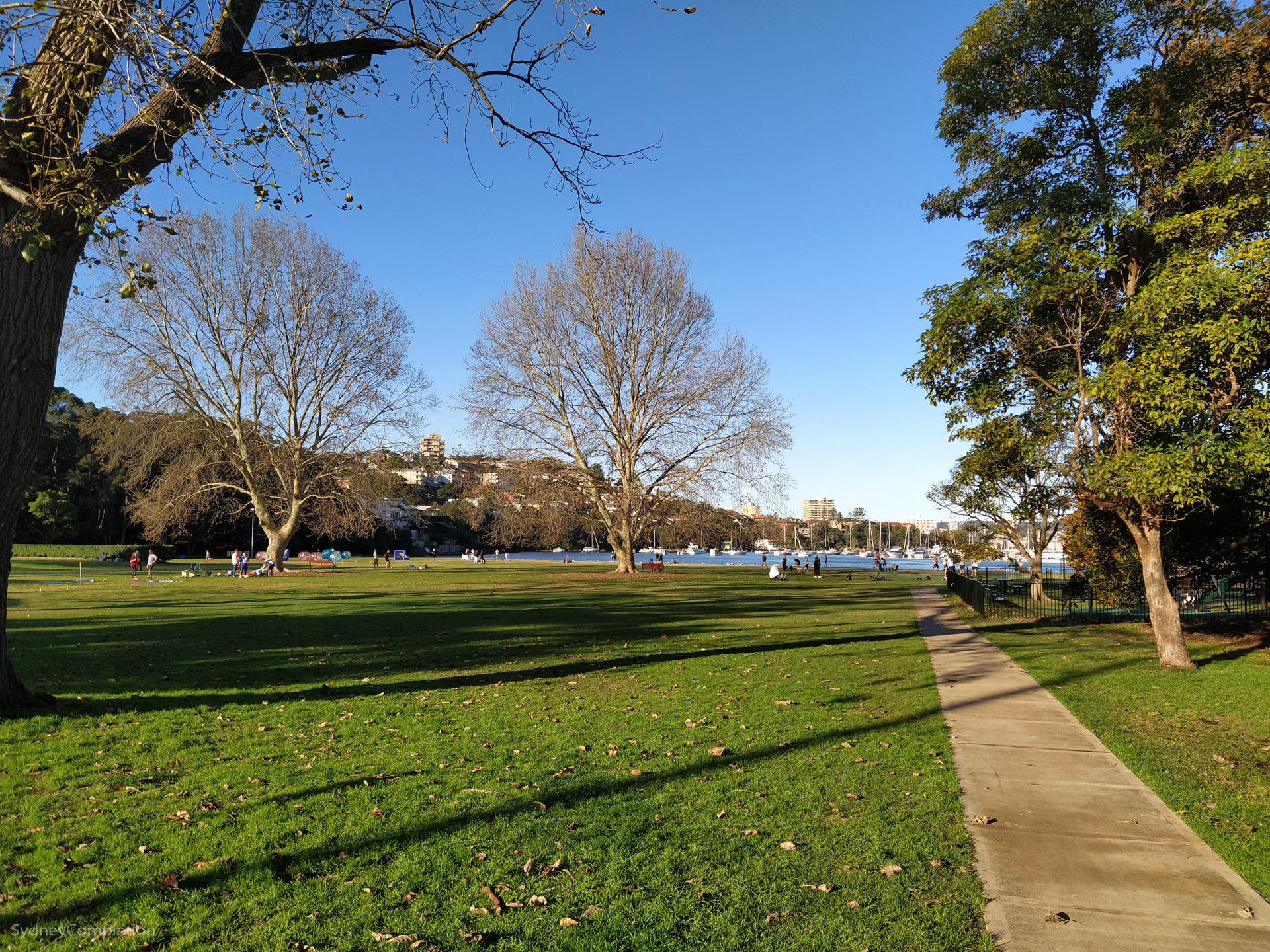 Highs and Lows: Balgowlah Heights and Balgowlah - Completing Sydney