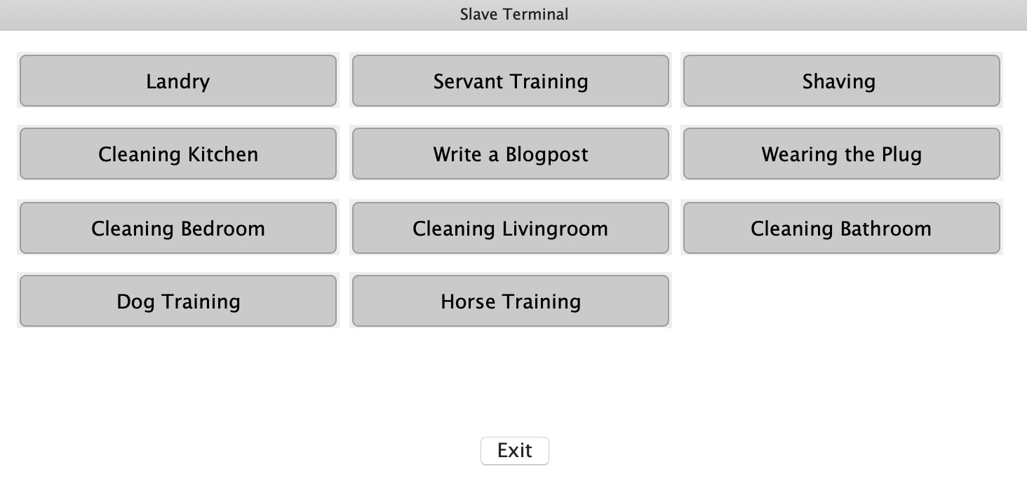 The BDSM Lifestyle: Project: "The Slave Terminal"