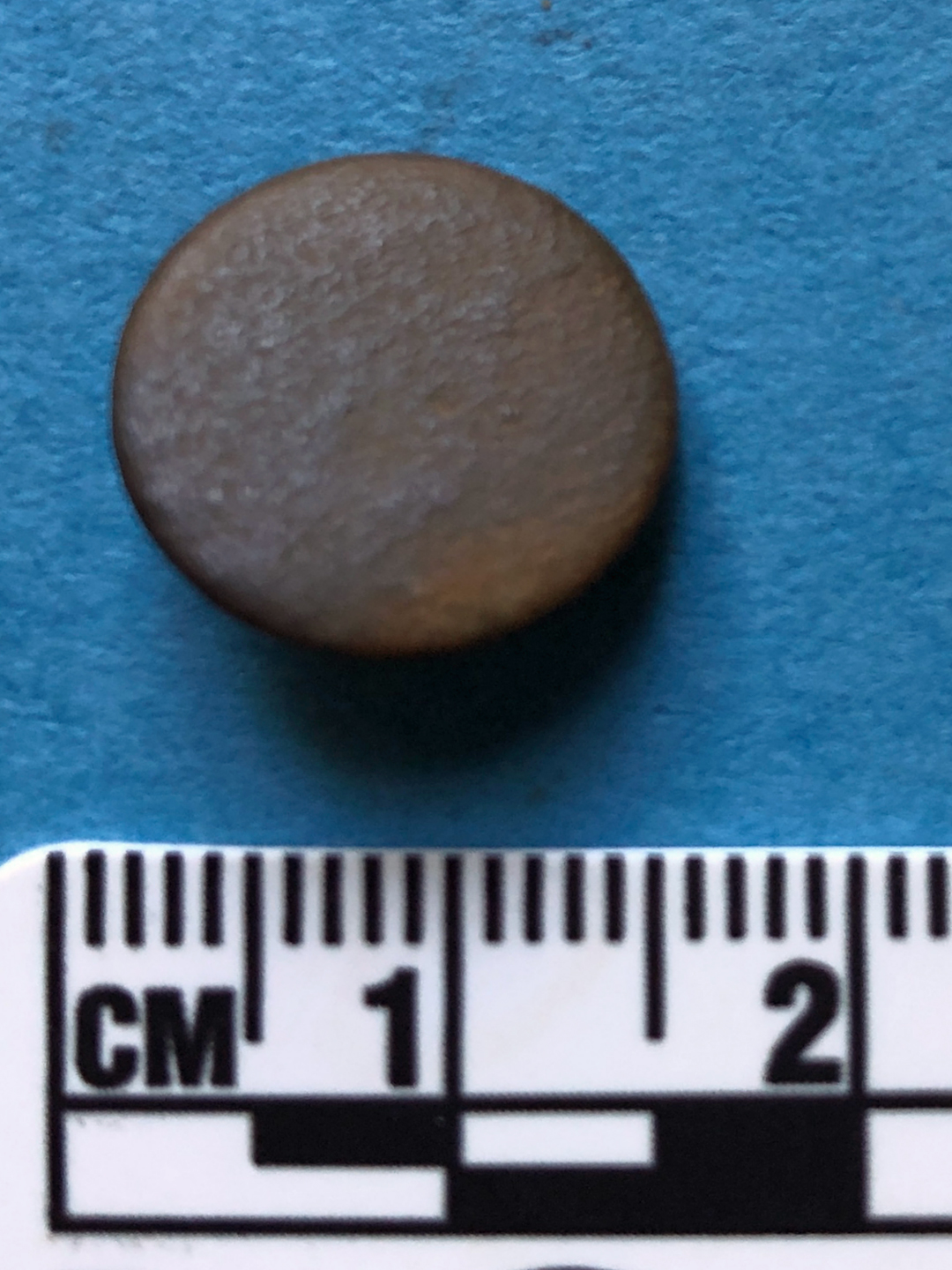 Charles County Archaeological Society of Maryland, Inc: 2021