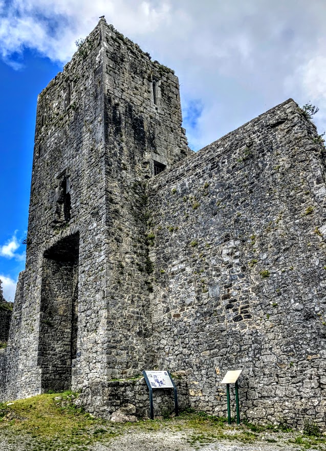 Patrick Comerford: Liscarroll Castle, now in ruins but once the third ...