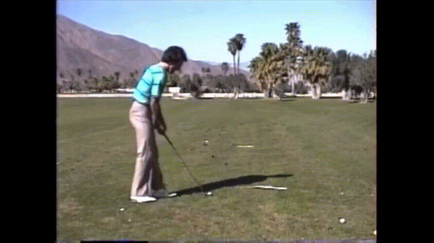 Biokinetic Golf Swing Theory: The Knee Flex Leveling Procedure for the ...