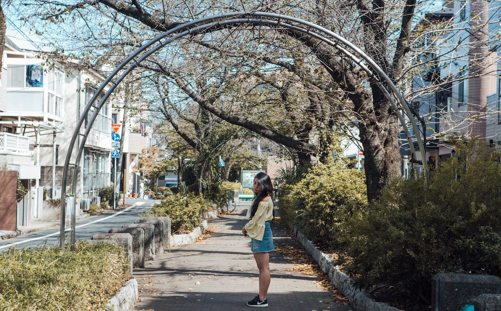 Autumn in Japan (part 2) - Western Tokyo - bitterbubblegums