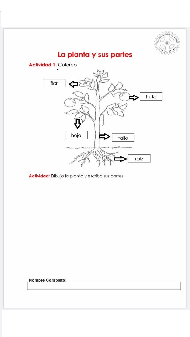 INSTITUCIÓN EDUCATIVA TÉCNICO DÁMASO ZAPATA SEDE B,C Y D PREESCOLAR: 2021
