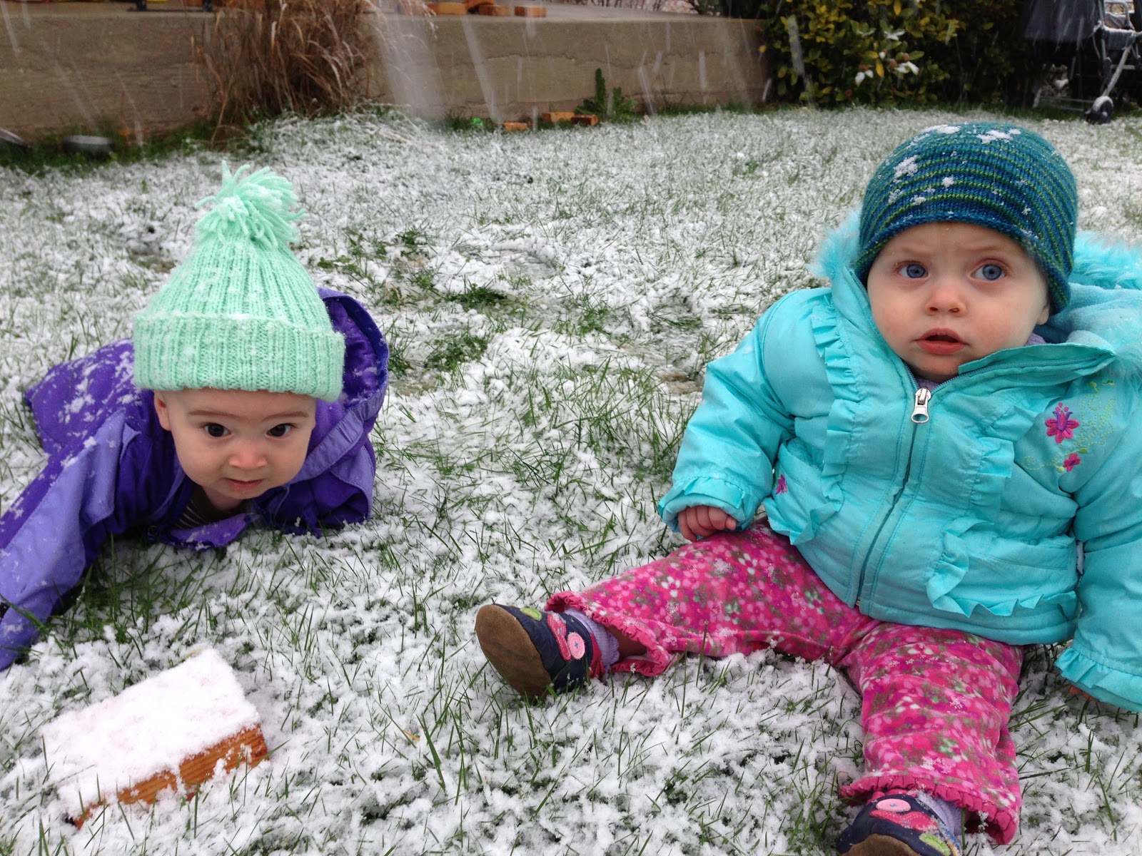Tumbleweed Infant and Preschool House: Snow Babies
