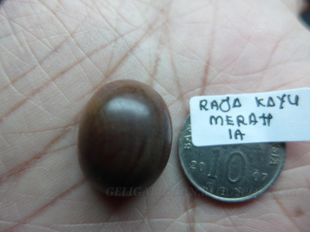 BLOG UTAMA Y.M PADUKA AYAHANDA PAY 8: RAJA KAYU MERAH