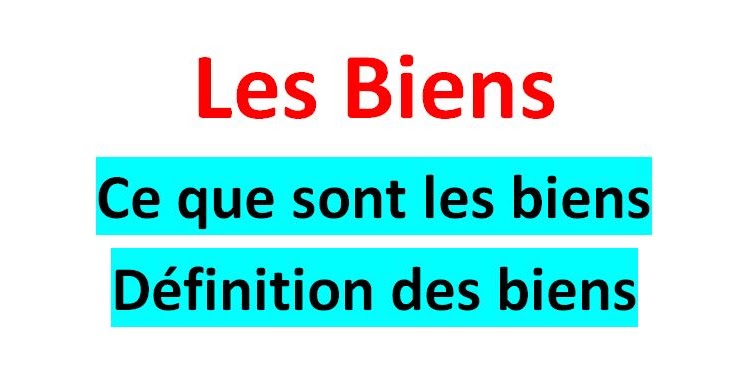 Les Biens Ce que sont les biens Définition des biens . | Cours de droit