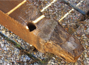 The Fence Line: Building a Wood Fence with Metal Posts?