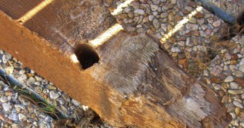 The Fence Line: Building a Wood Fence with Metal Posts?