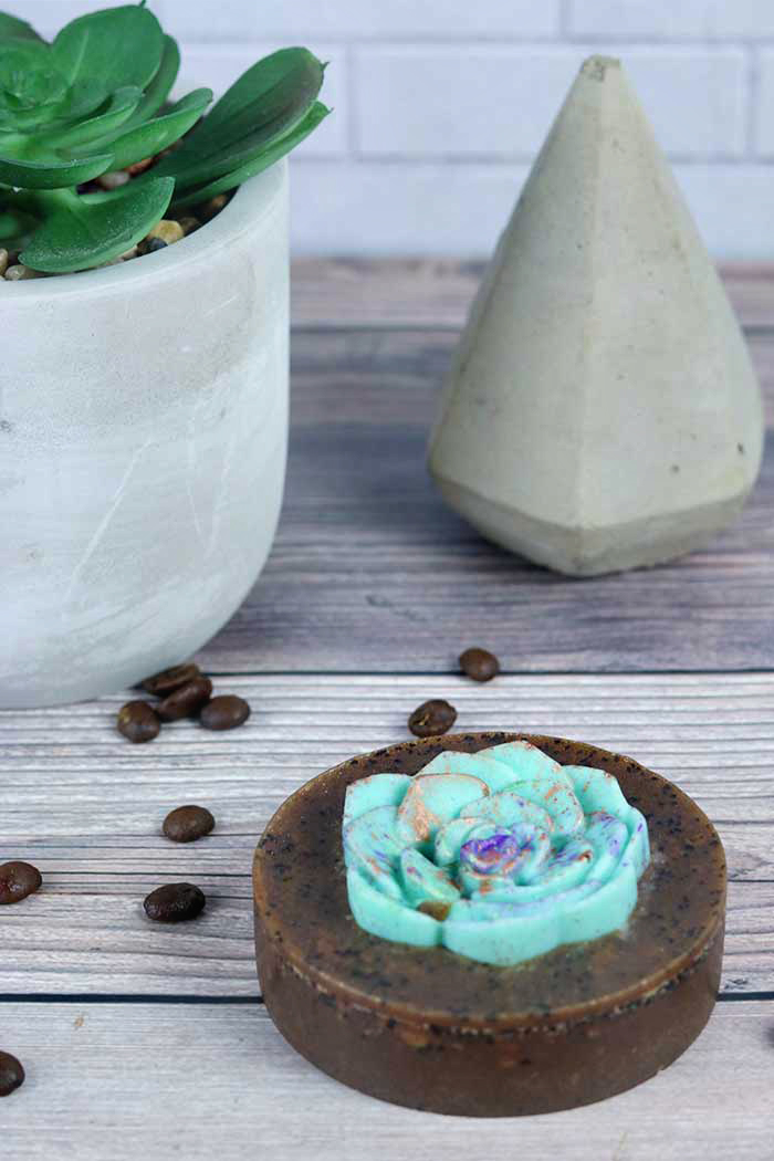 Succulent Melt and Pour Coffee Soap Recipe - Everything Pretty