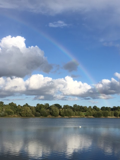 Nature in the Heart of England: Upper Wardington: return of the Golden ...