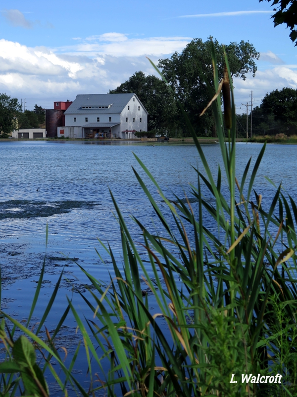 The View from Squirrel Ridge: A Brief Visit to Dayton, VA