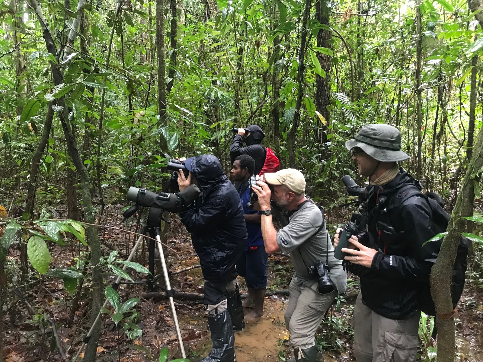Matt Eade's Blog: Papua New Guinea - Kiunga & Kwatu June 2019 (Part 3)