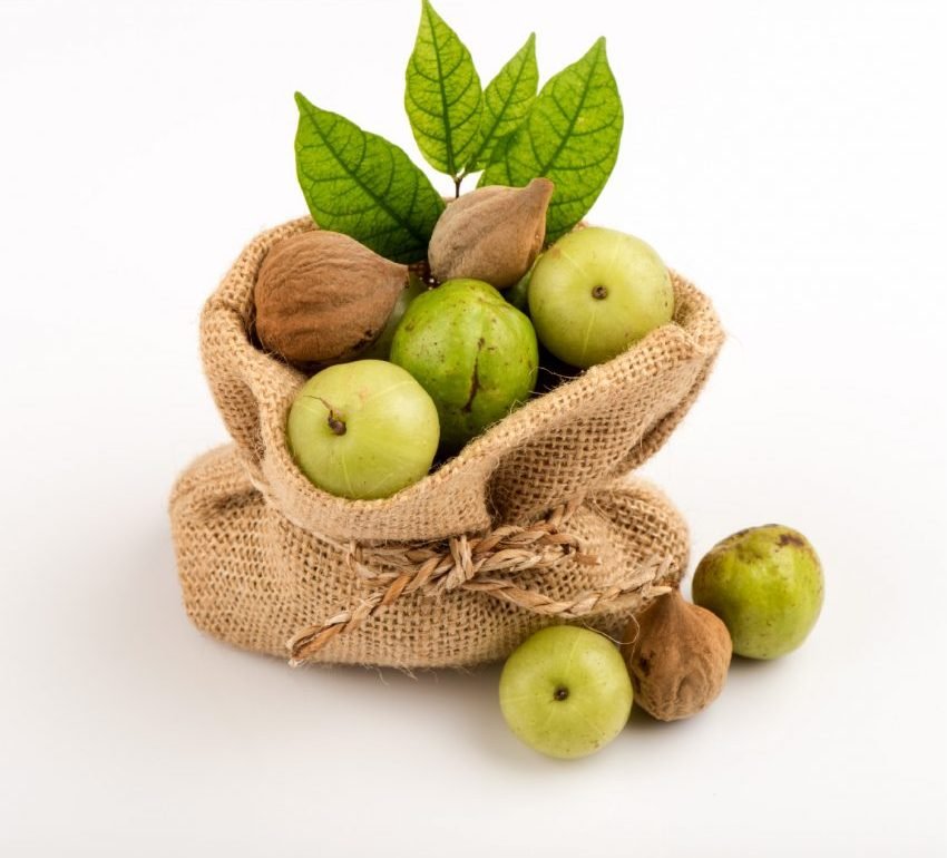 Triphala churna ingredients in gujarati