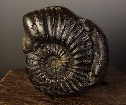 RadhaKrishnamayi: Saligram - A Holy Stone