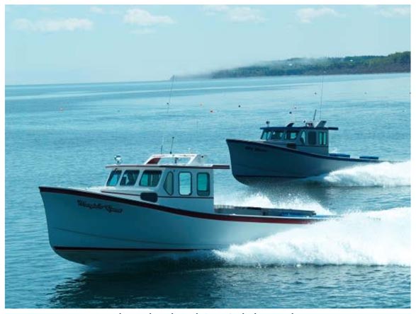 Bobbi Heath Paintings: The Novi