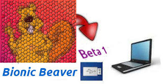 Esbuntu: Derivadas de Ubuntu lanzan Beta 1 de Bionic Beaver